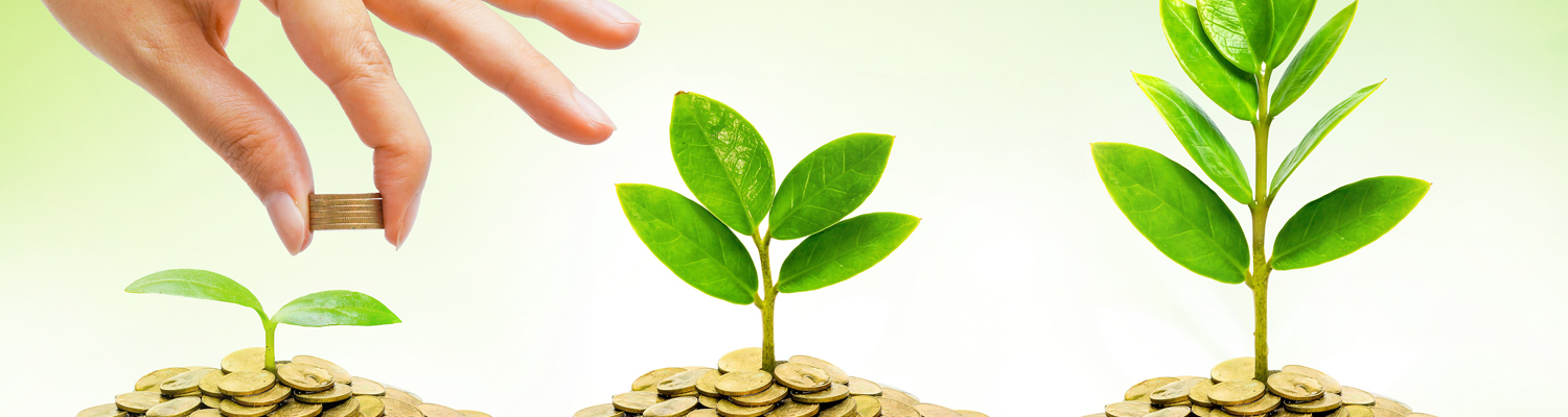 Uaminifu Sacco - Normal Savings